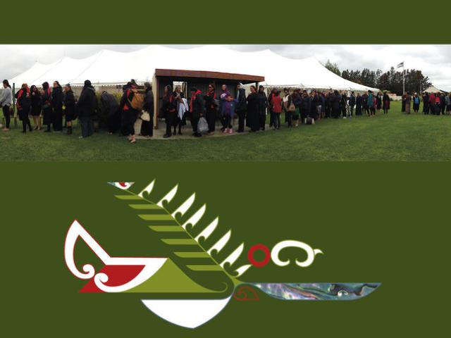 Pukemokimoki Marae Trust | Volunteering Hawkes Bay